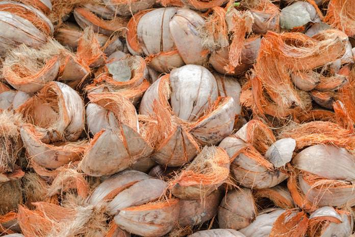 Cara Membuat Kerajinan Tangan dari Sabut Kelapa yang Mudah - ClimChalp Cara Membuat Kerajinan Tangan dari Sabut Kelapa yang Mudah - ClimChalp